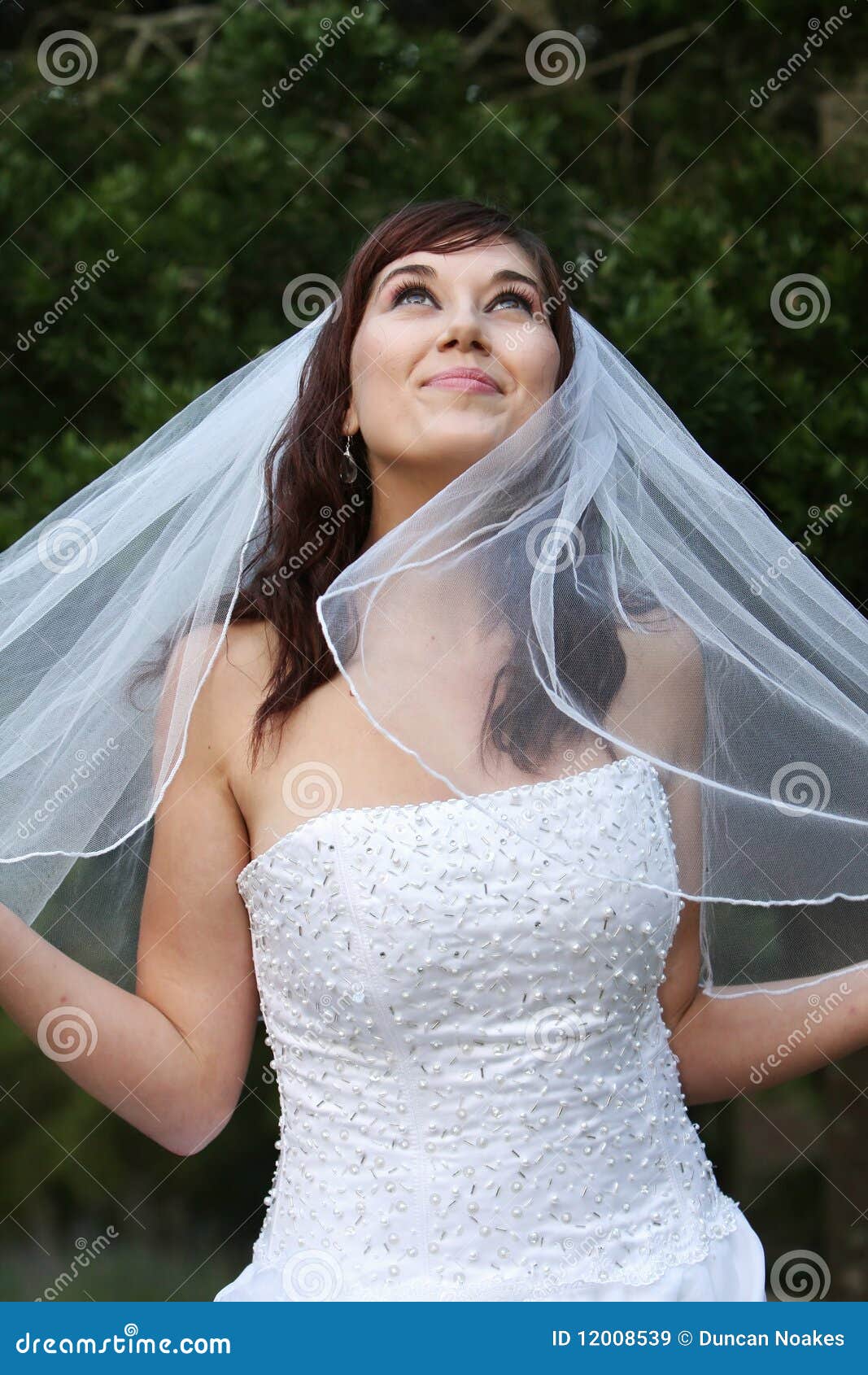 Gorgeous Smiling Bride stock image. Image of dress, celebration - 12008539