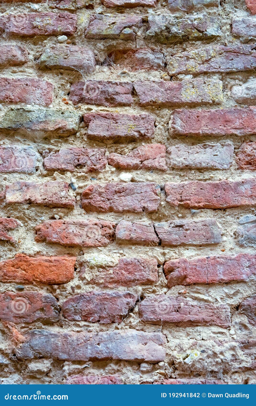 Gorgeous Textured Surface of Old English Handmade Red Bricks Stock ...