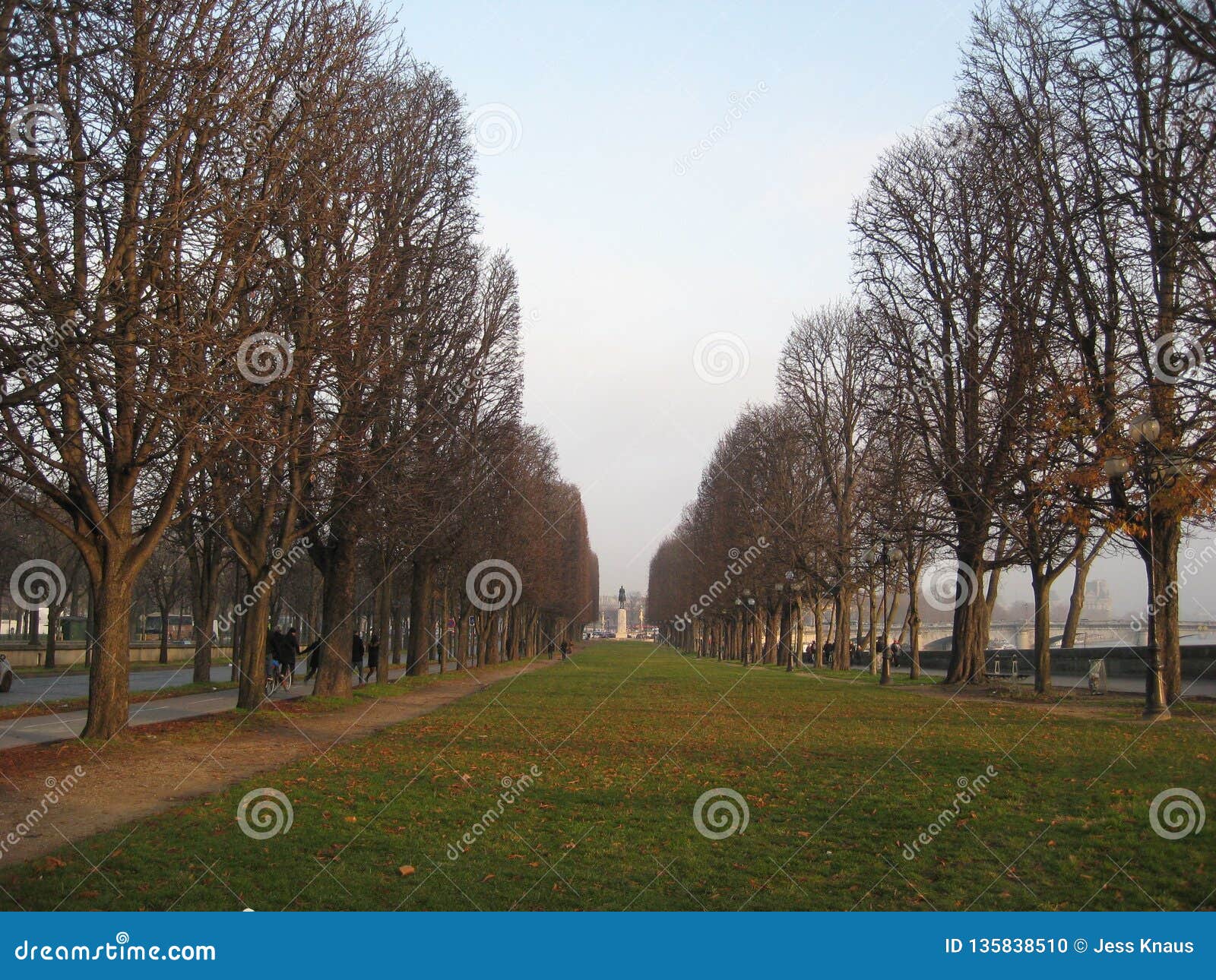 A Gorgeous Tree Lined Grassy Plaza in Paris Stock Photo - Image of ...