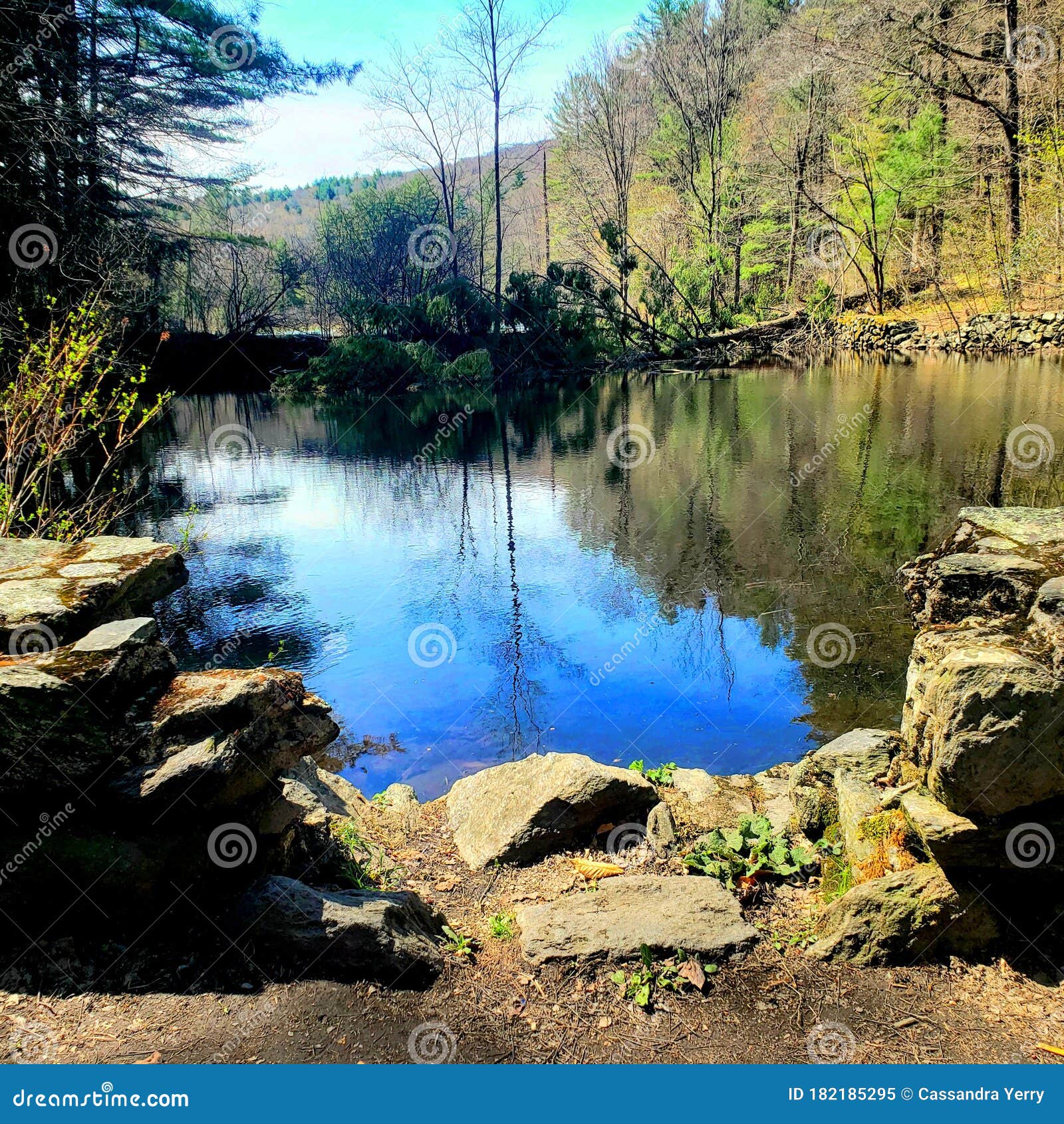 Gorgeous vermont pond stock image. Image of spring, pond - 182185295