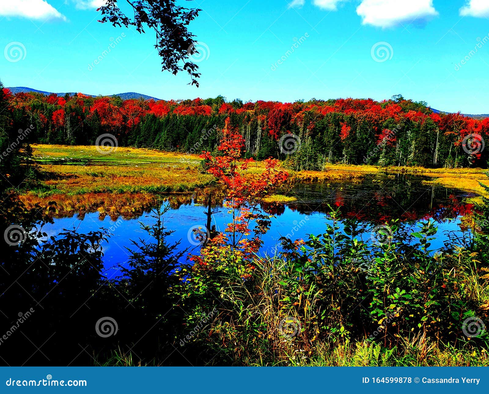 Gorgeous Vermont views stock photo. Image of reflections - 164599878