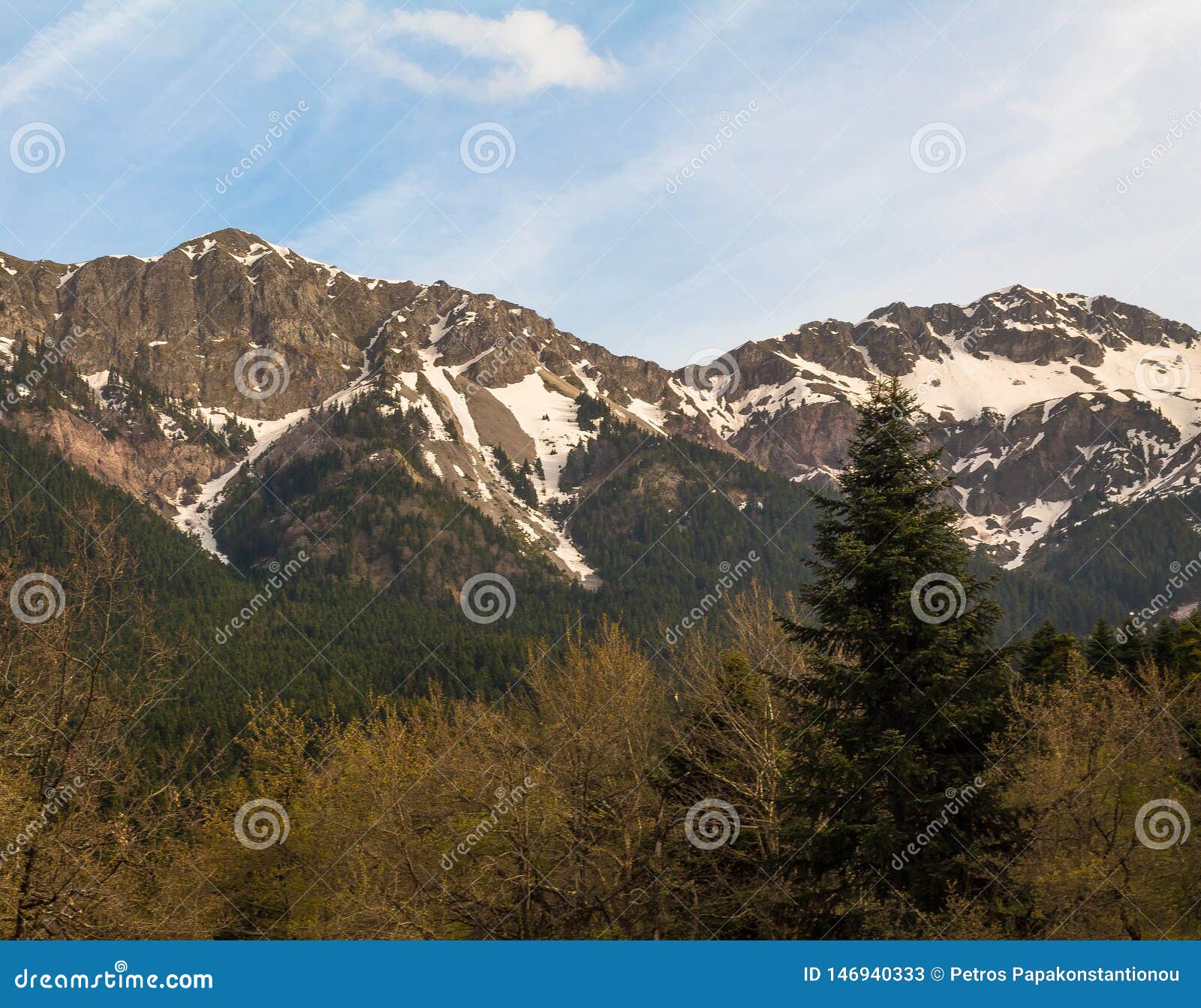 Gorgeous View of a Mountain Melting Snow in Spring Lone Tree and Forest ...