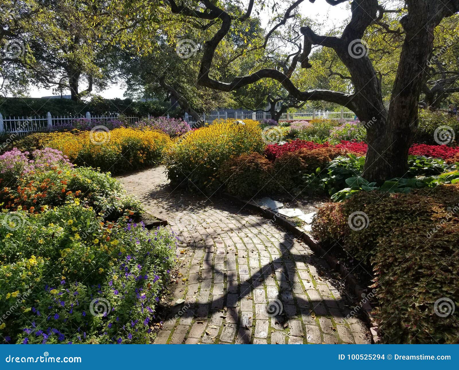 Gorgeous walk editorial stock image. Image of gorgeous - 100525294