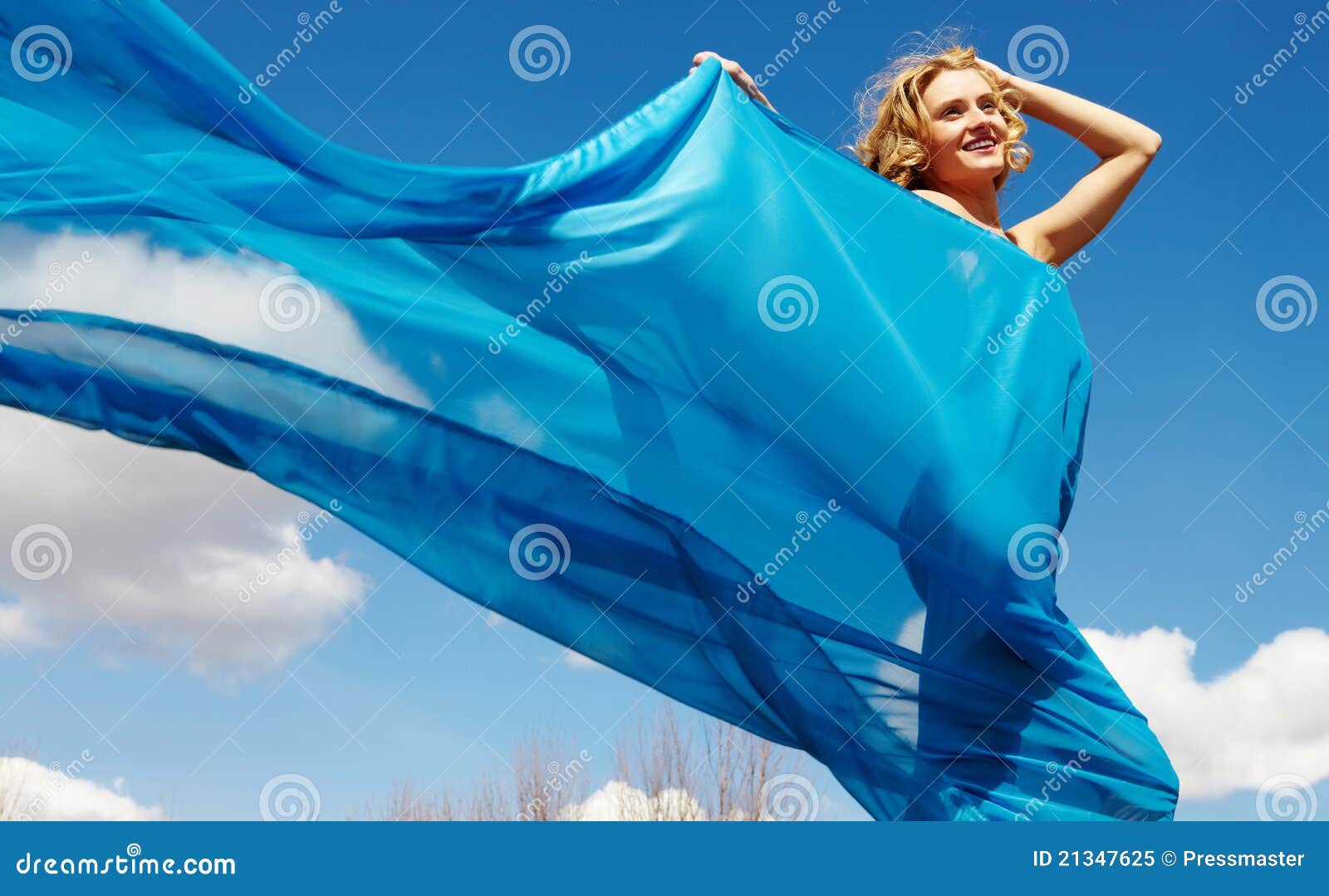 Gorgeous woman in blue stock image. Image of girl, beauty - 21347625