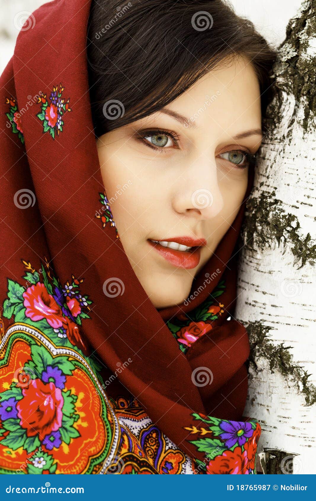 Gorgeous woman in shawl. stock image. Image of expressive - 18765987