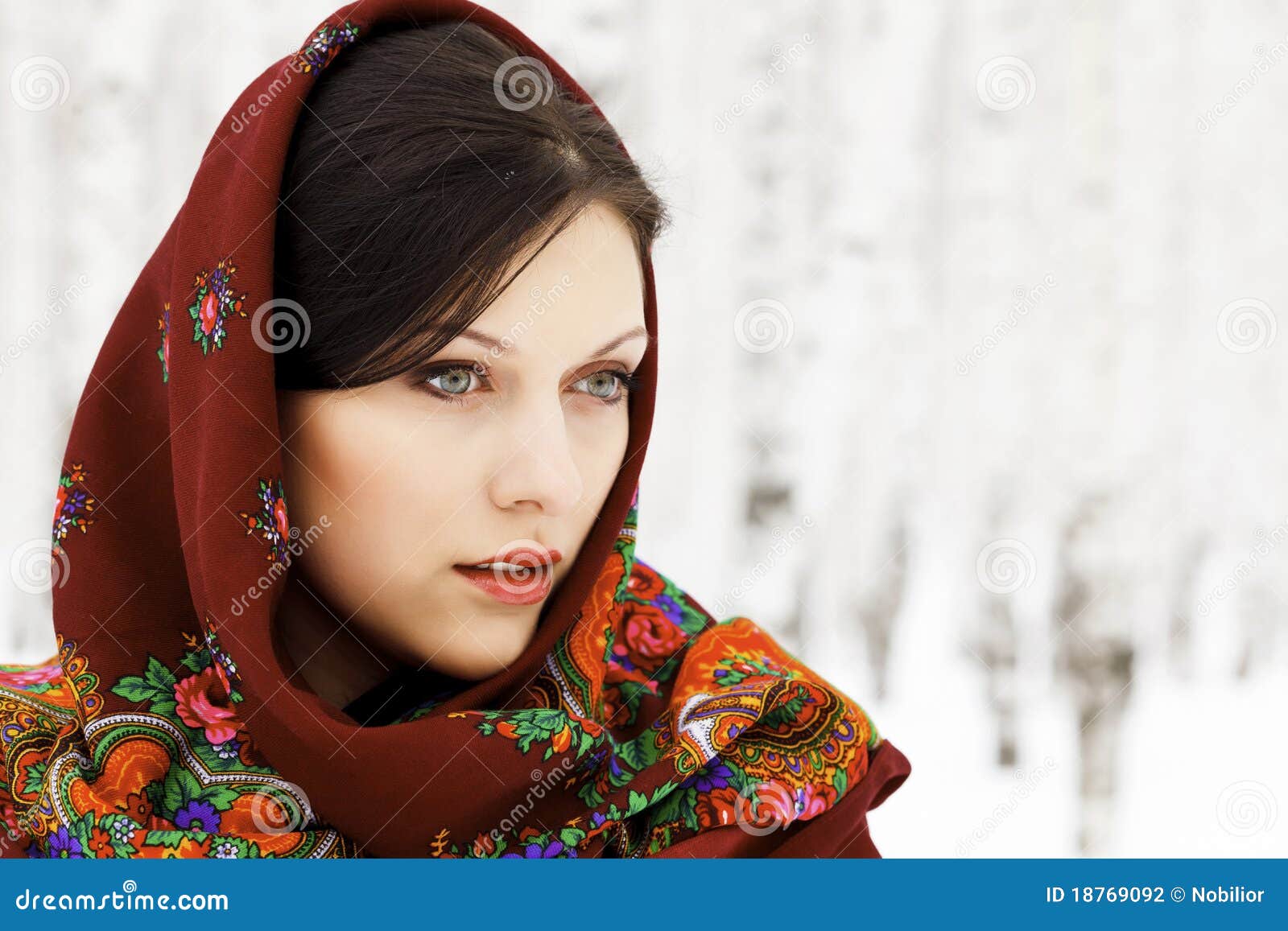 Gorgeous woman in shawl. stock photo. Image of cute, model - 18769092