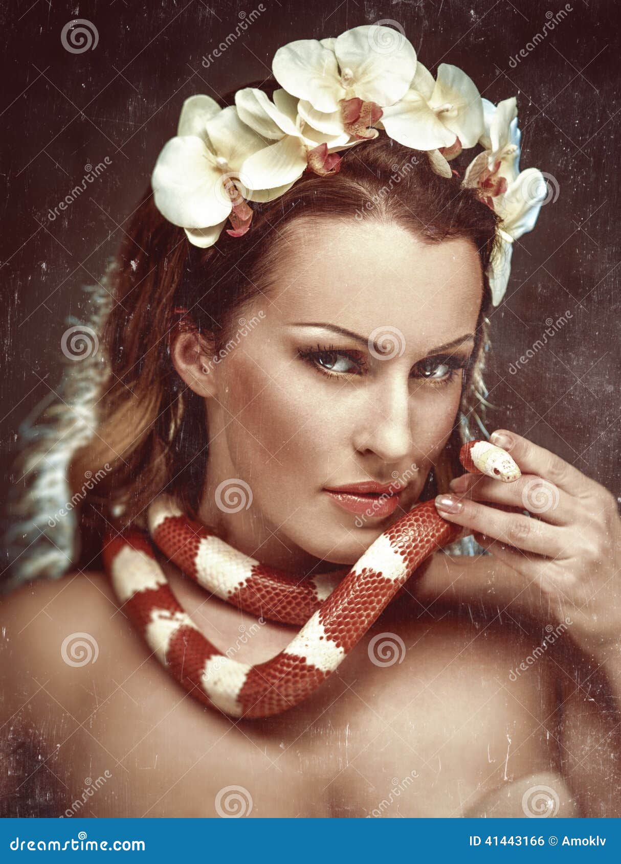 Gorgeous woman with snake stock photo. Image of animal - 41443166