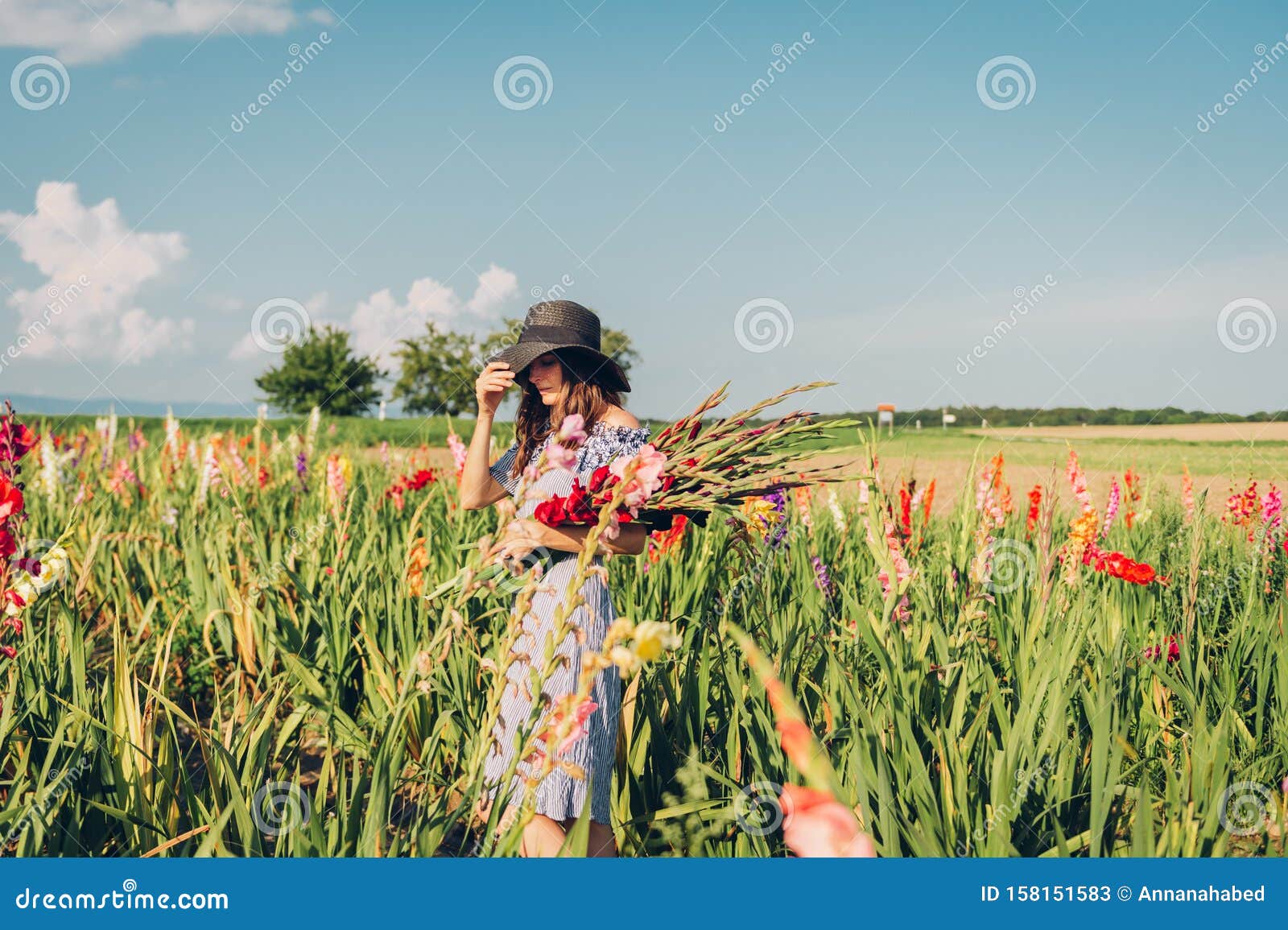 Gorgeous Young Woman Picking Flowers In A Field Stock Image Image Of
