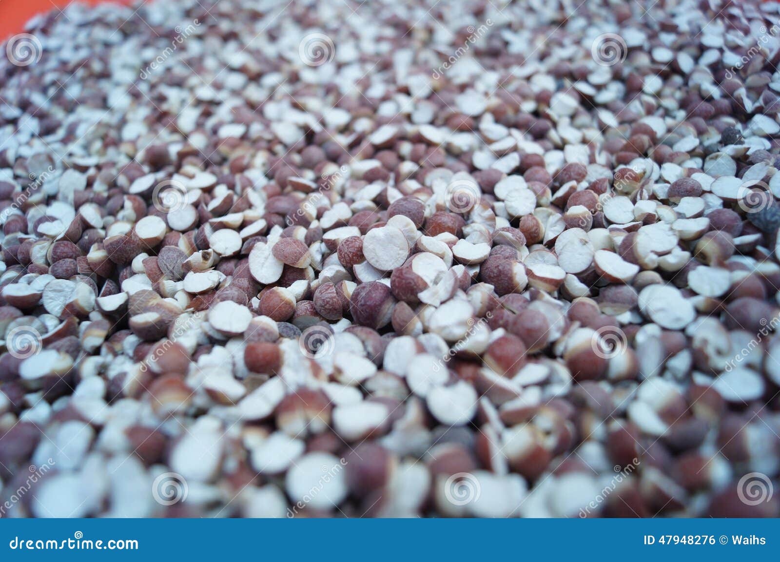 Gorgon fruit stock photo. Image of market, products, food - 47948276