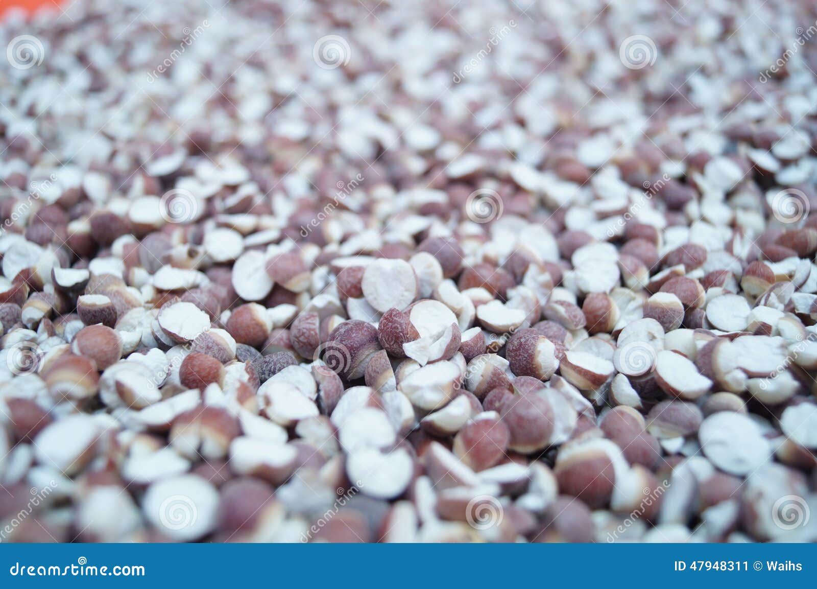 Gorgon fruit stock image. Image of food, health, products - 47948311