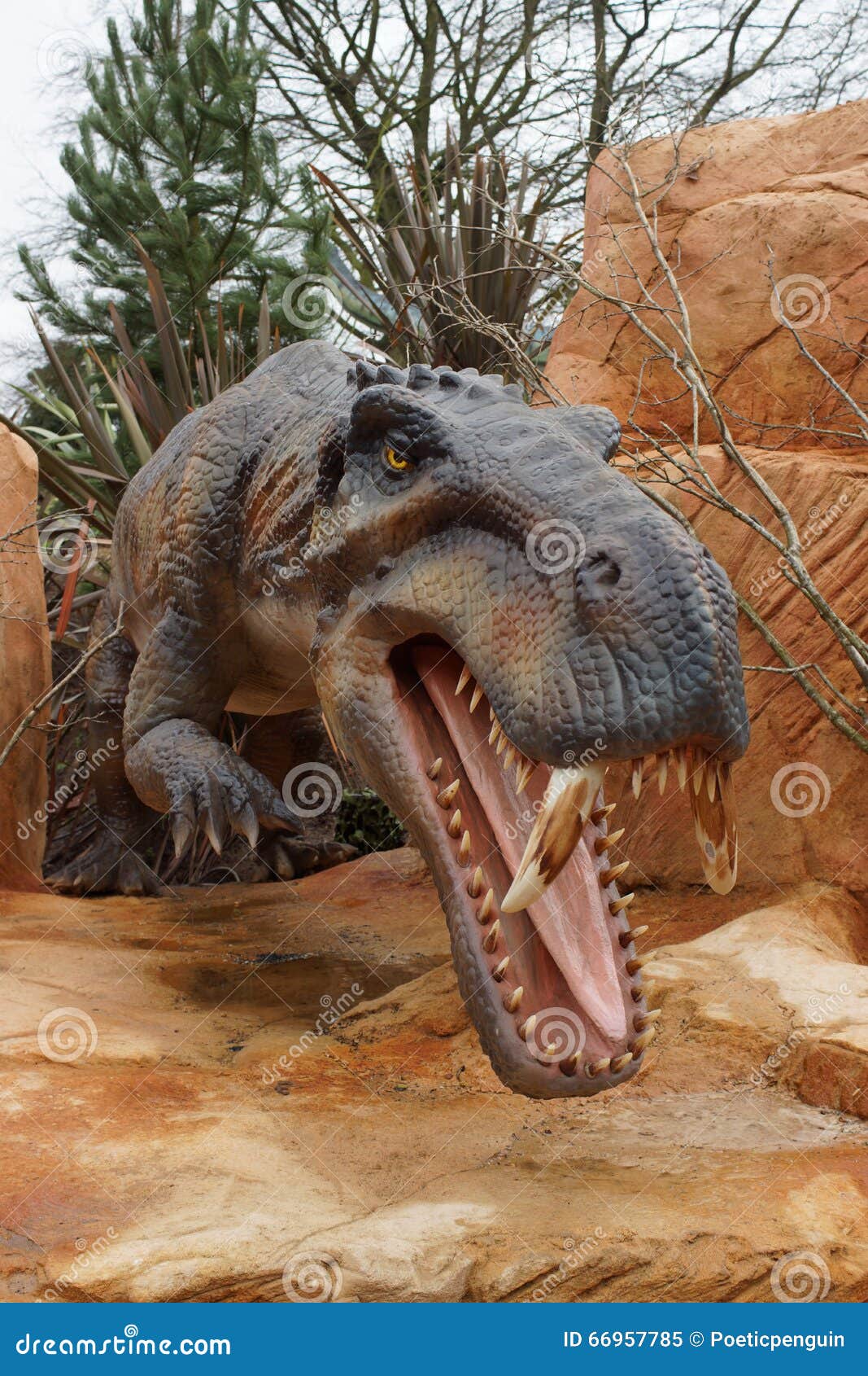 Gorgonops torvus stock image. Image of extinct, huge - 66957785