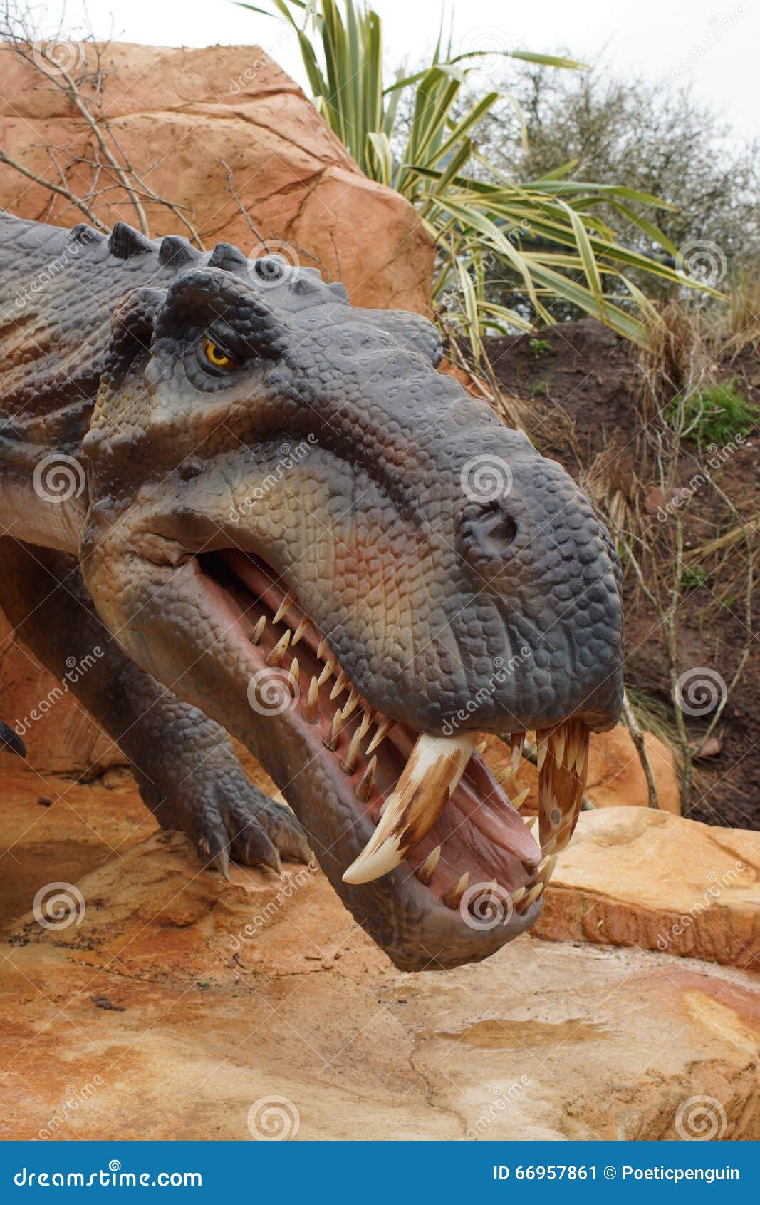 Dinosaur Gorgonops Stock Photos - Free & Royalty-Free Stock Photos from ...