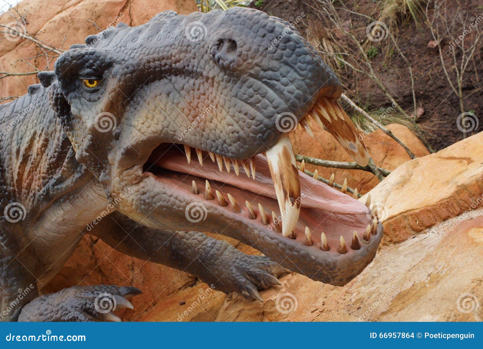 Gorgonops torvus stock photo. Image of extinct, monster - 66957864