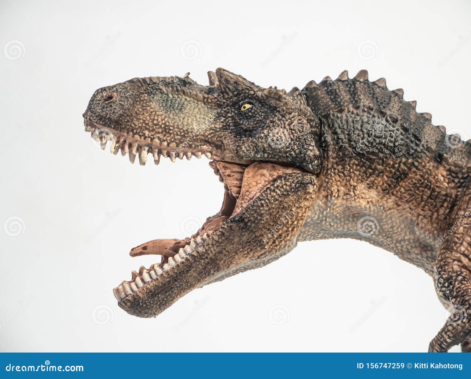 Gorgosaurus Dinosaur On Smoke Background Royalty-Free Stock Photo ...