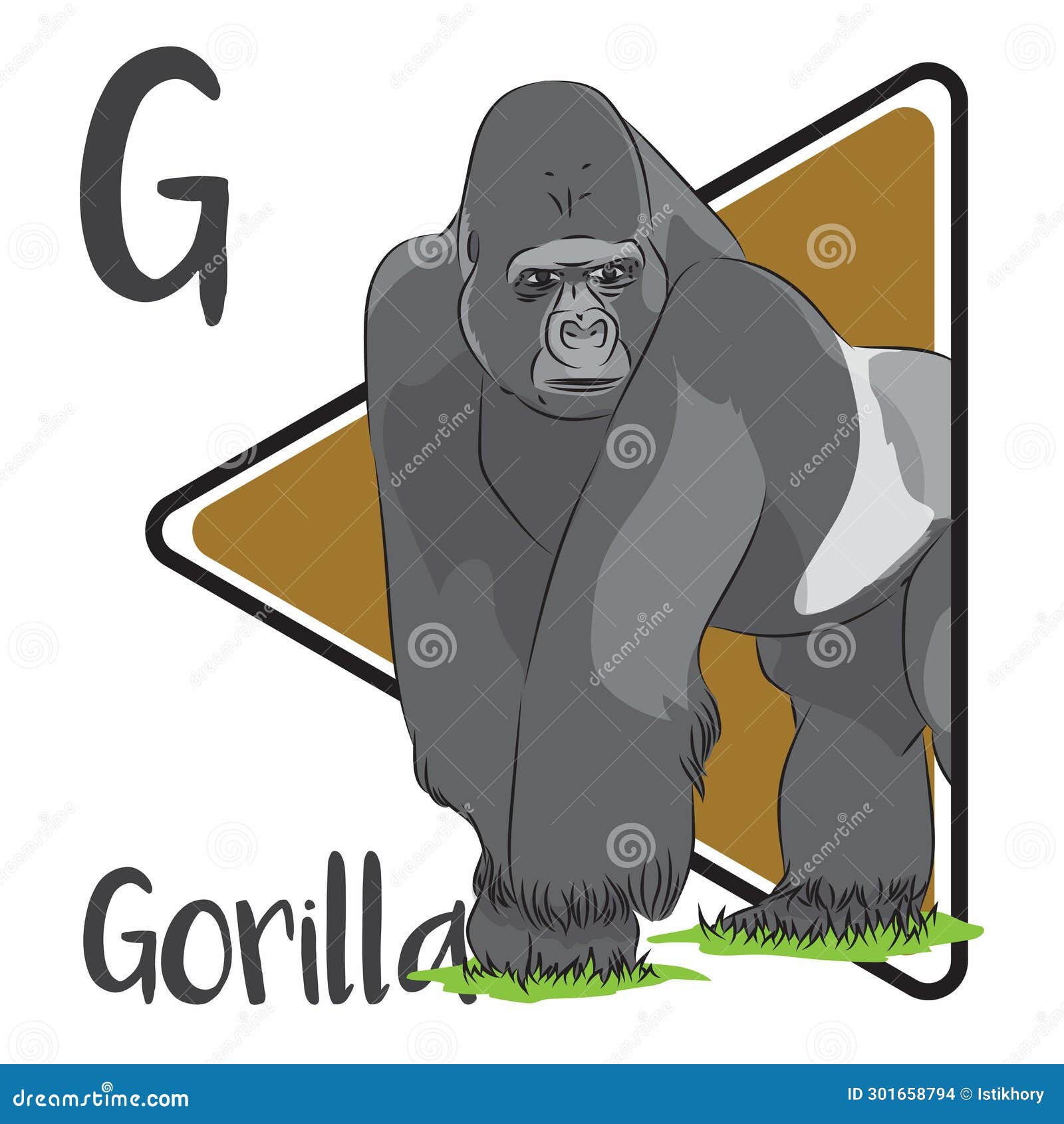 Male Silverback Gorilla is the Leader of the Gorilla S Troop Stock ...