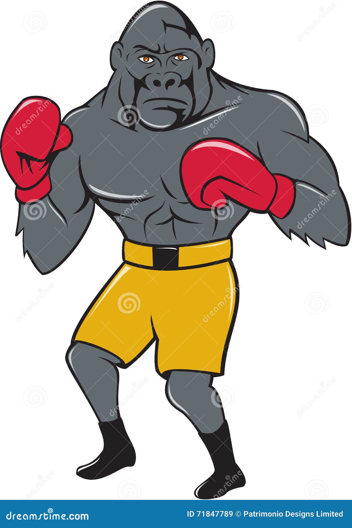 Gorilla Boxer Boxing Stance Cartoon Illustration de Vecteur ...