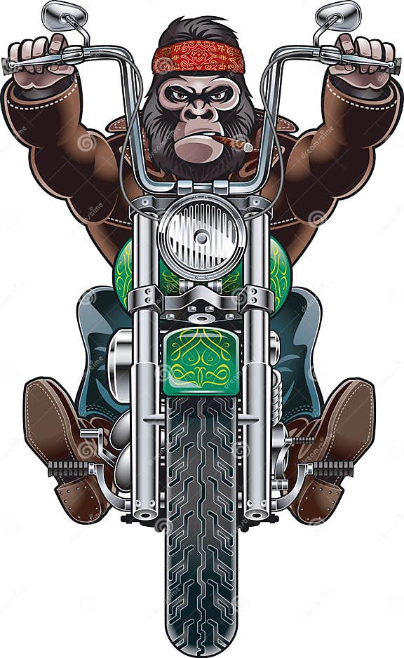 Gorilla driving motorcycle stock vector. Illustration of dier - 163082065