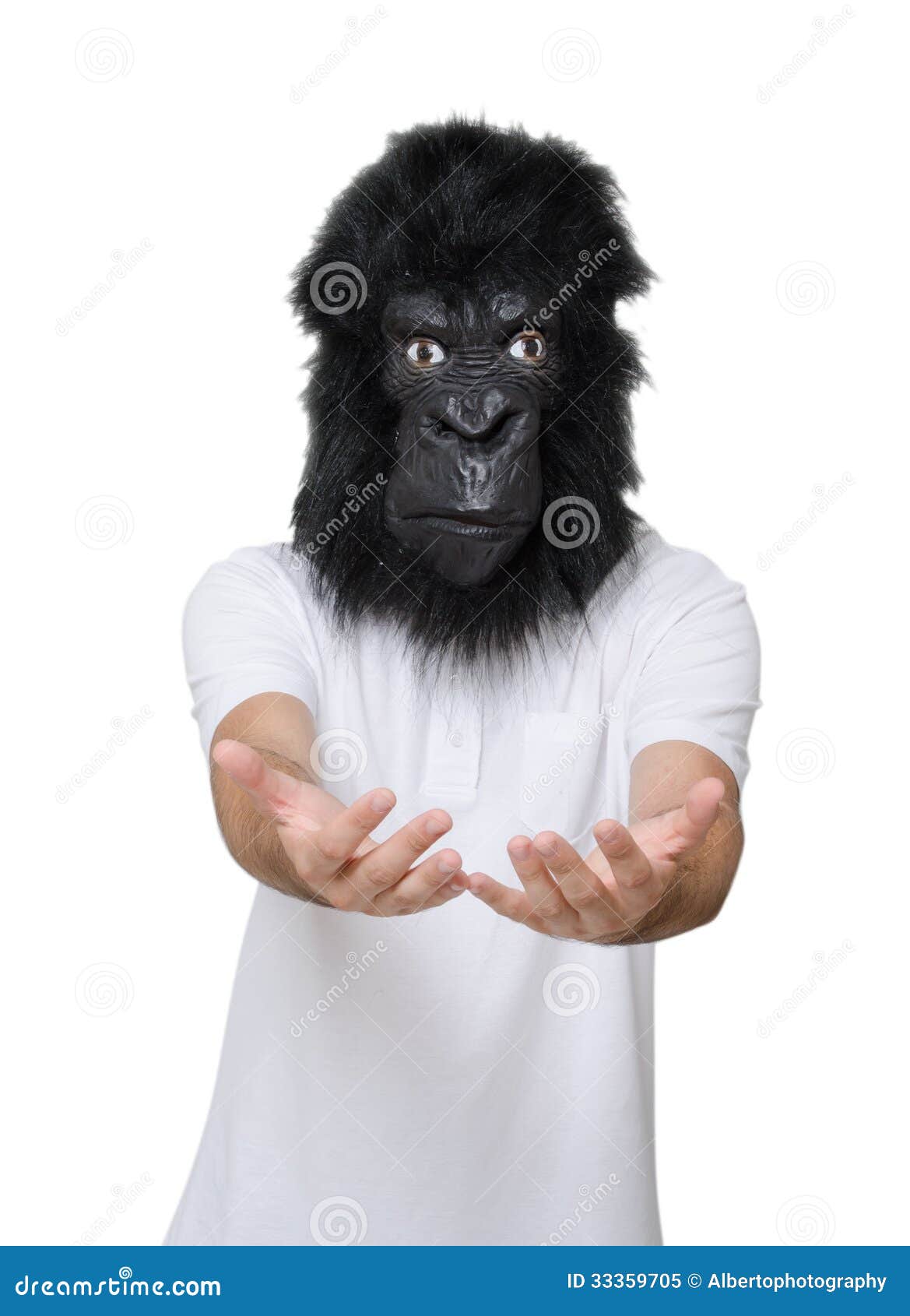 Gorilla man stock image. Image of hairy, hand, blank - 33359705