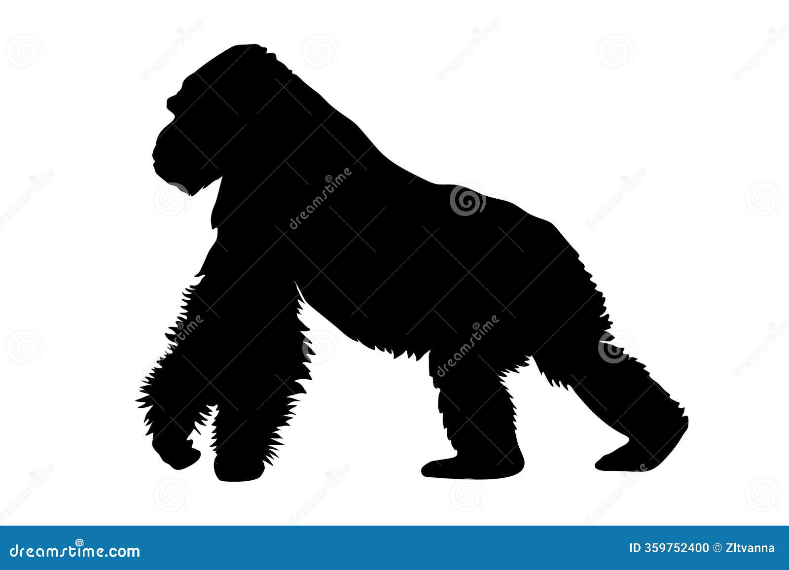 Gorilla Silhouette Walking in a Stylized Black Vector Art ...