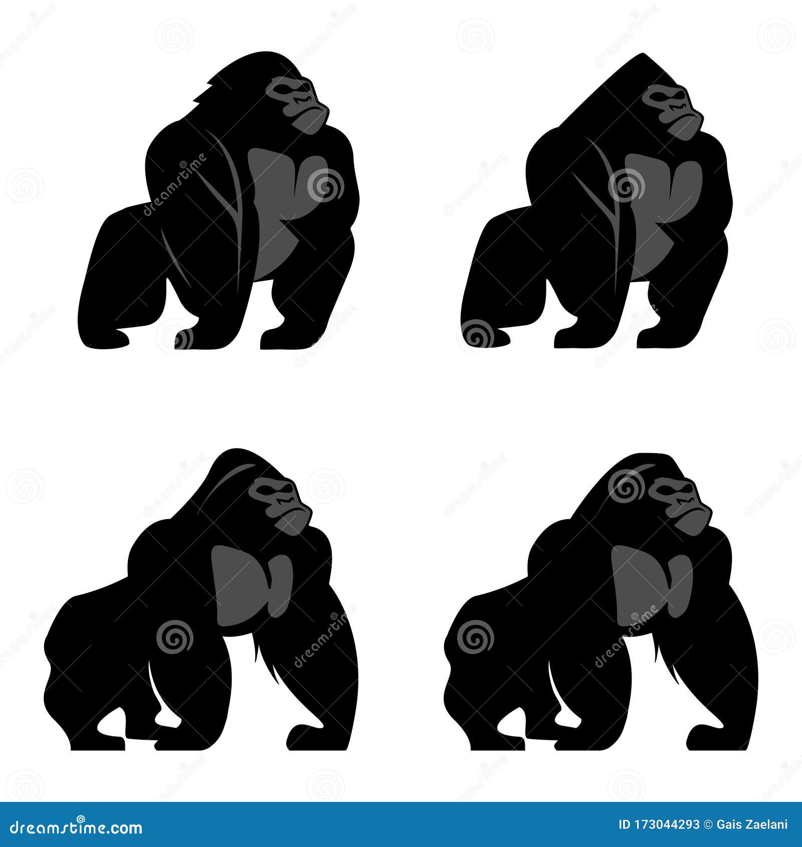 Gorilla Vector Illustration Stock Vector - Illustration of market ...