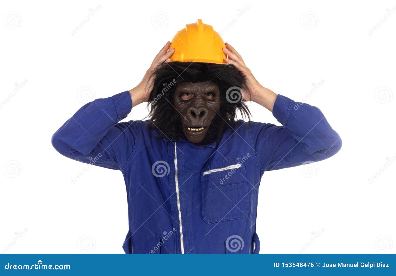 Gorilla Helmet Stock Photos - Free & Royalty-Free Stock Photos from ...