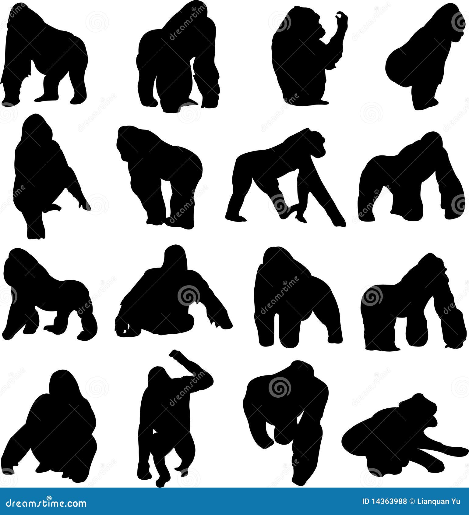 Gorillas Are The Largest Primates Vector Illustration | CartoonDealer ...
