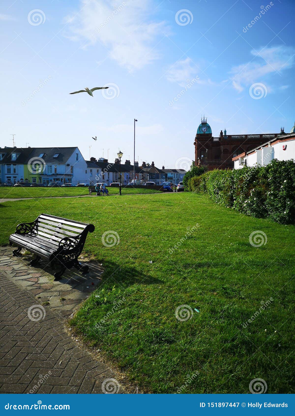 Gorleston seafront stock image. Image of seagull, bench - 151897447