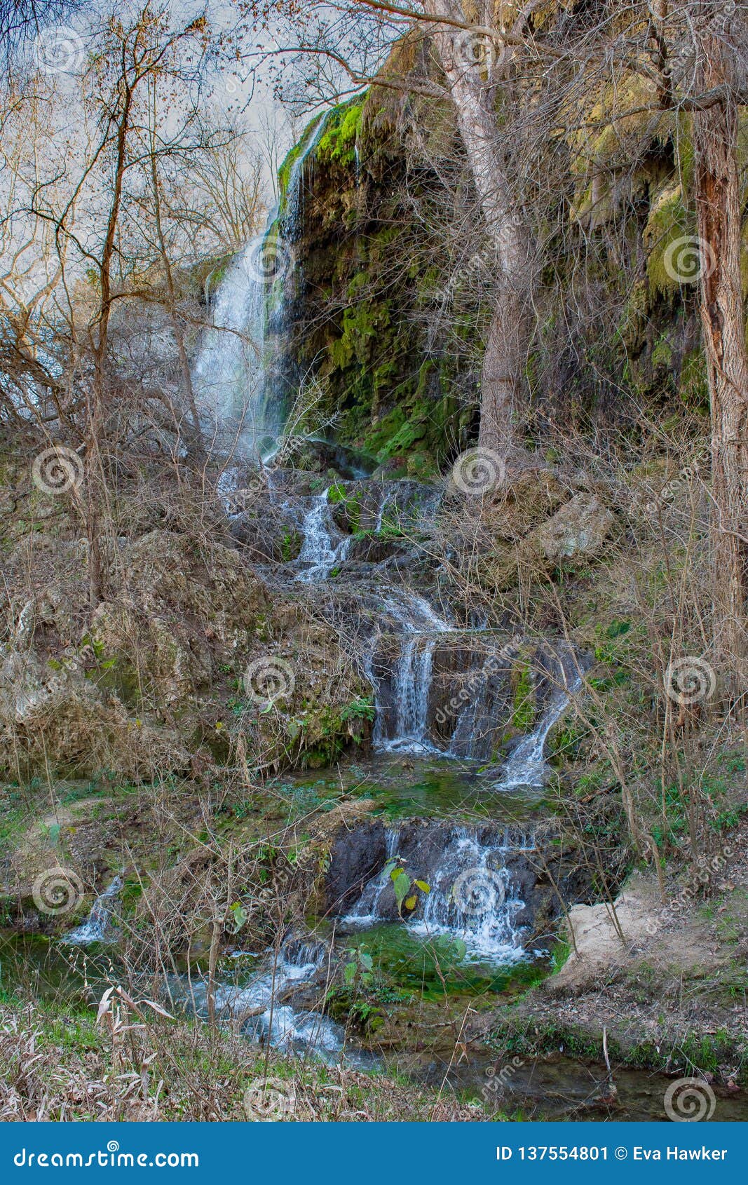 Gorman Cae En Parque De Estado De La Curva De Colorado Imagen de ...