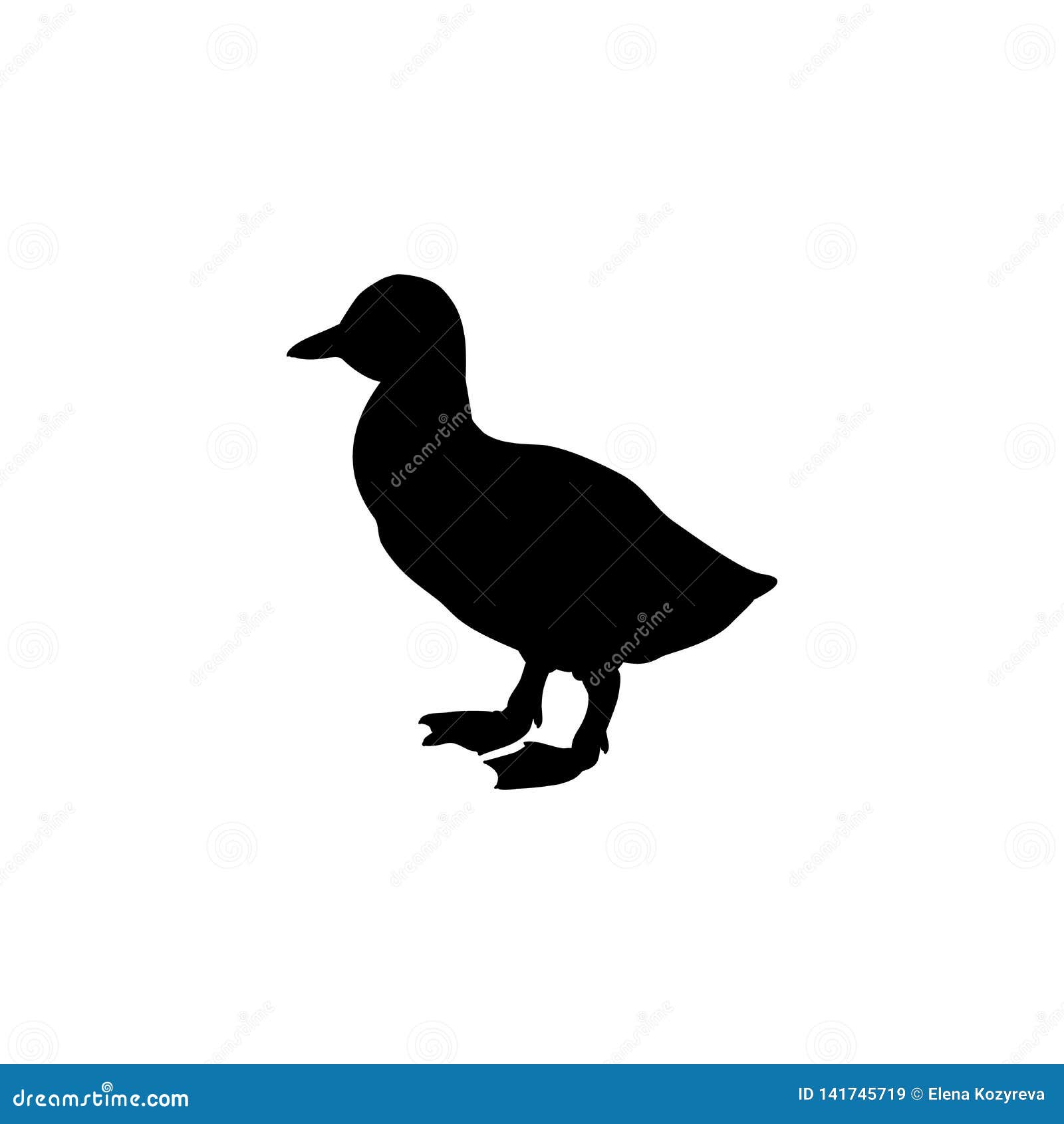 Gosling Bird Black Silhouette Animal Stock Vector - Illustration of ...