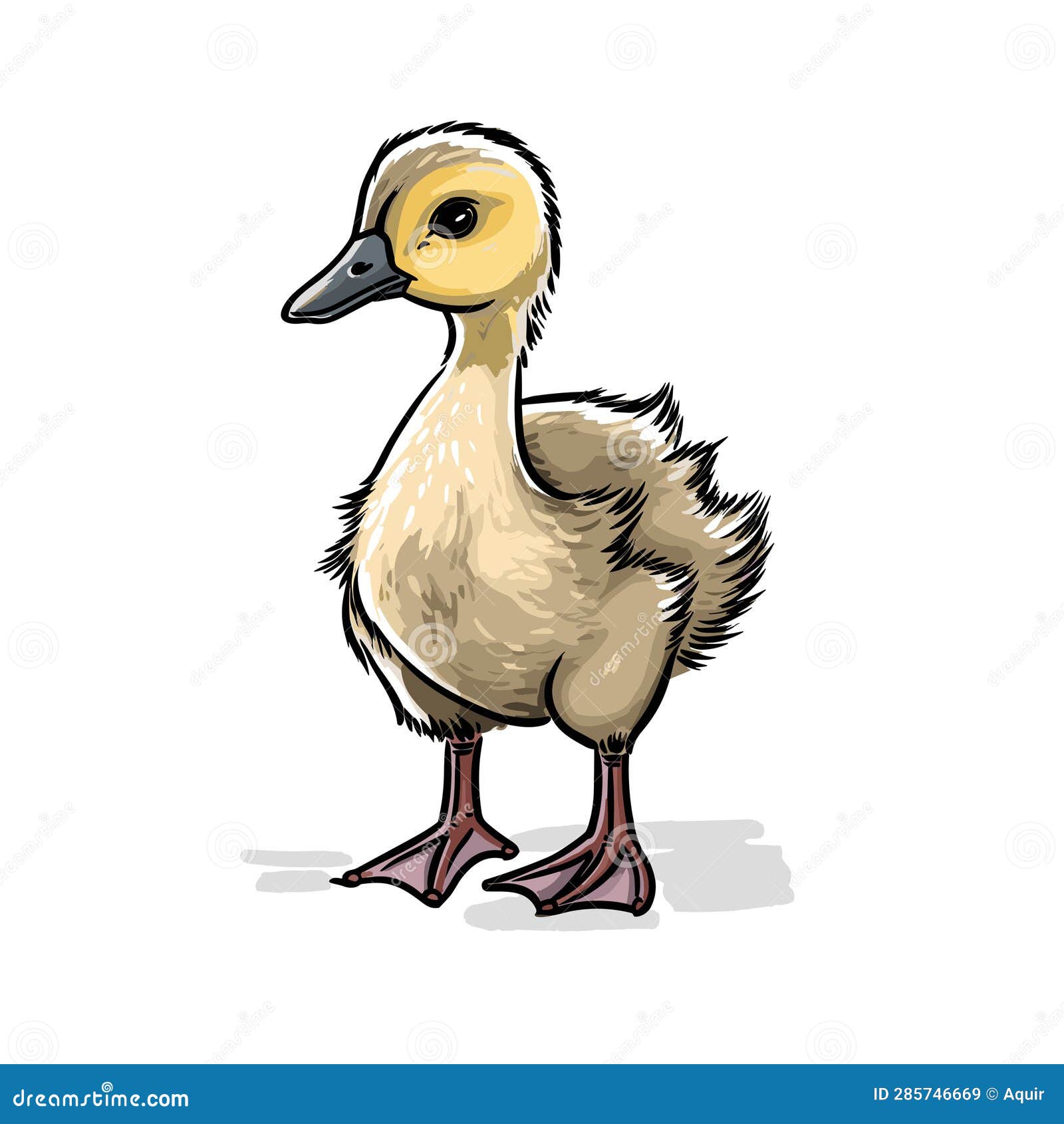 Gosling Hand-drawn Illustration. Gosling. Vector Doodle Style Cartoon ...