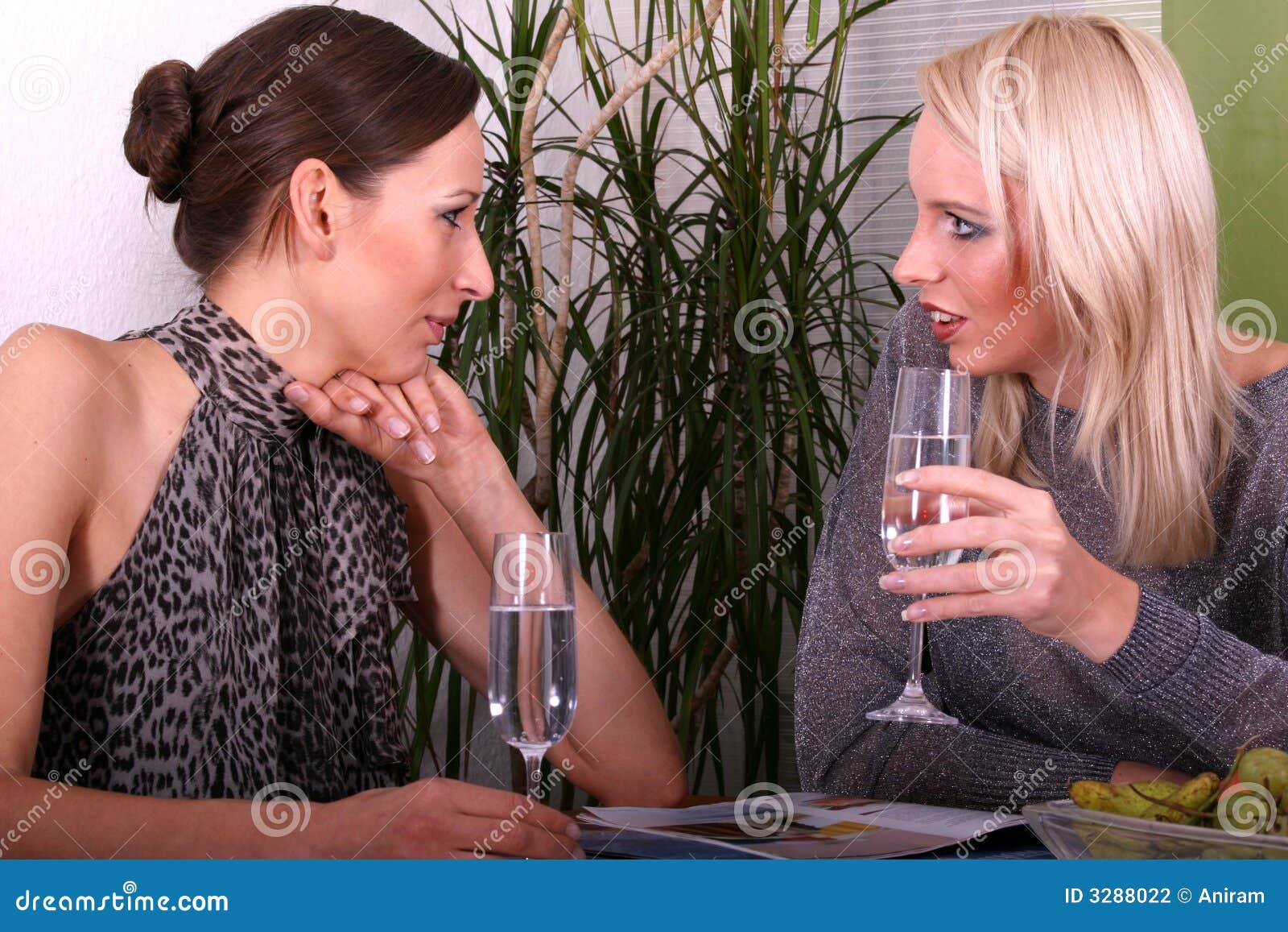 Gossip stock photo. Image of drink, communication, portraits - 3288022