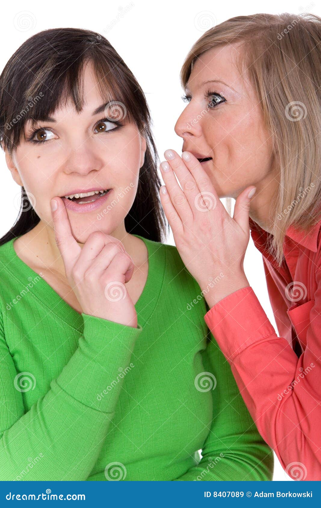 Gossip stock image. Image of girlfriends, pretty, joyful - 8407089