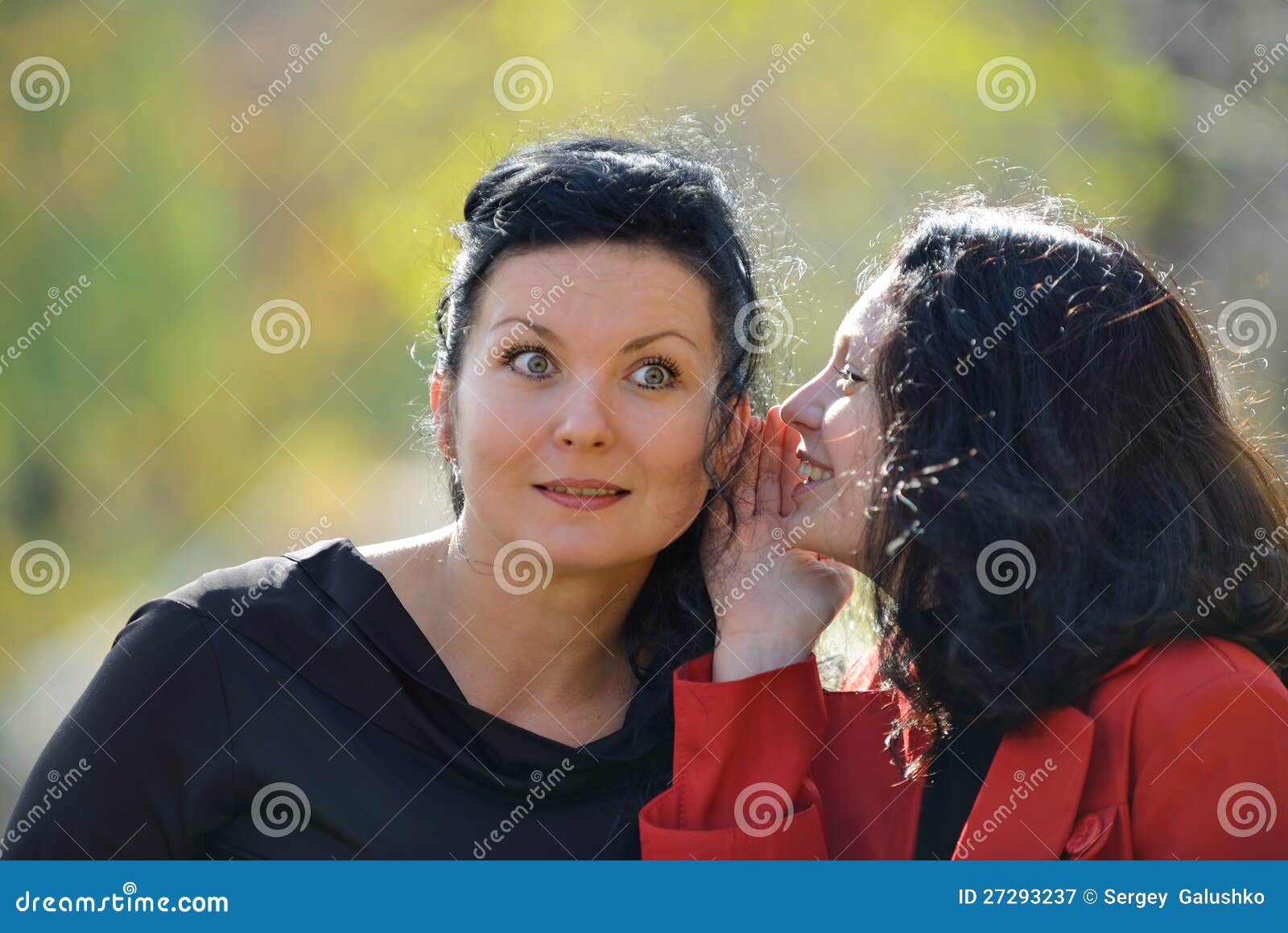 Gossips stock image. Image of friendship, listening, humor - 27293237