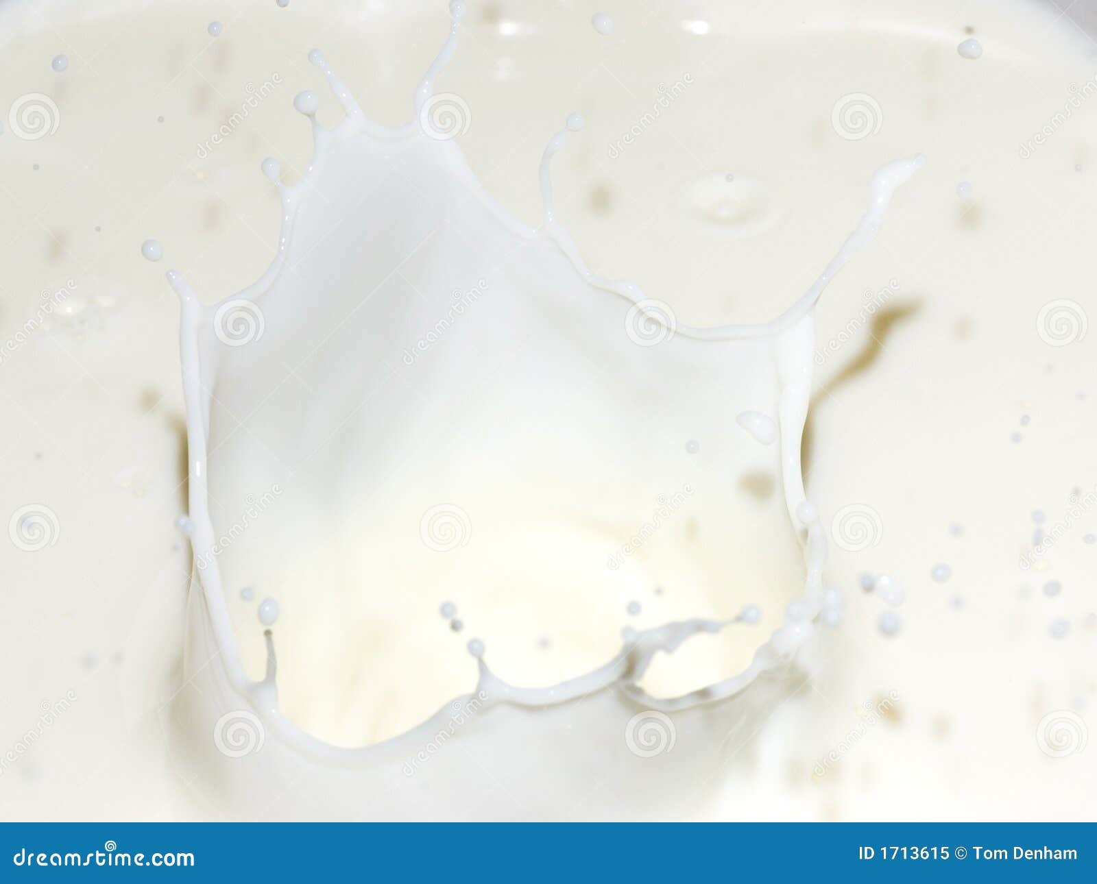 Got Milk? stock image. Image of yummy, liquid, white, flash - 1713615