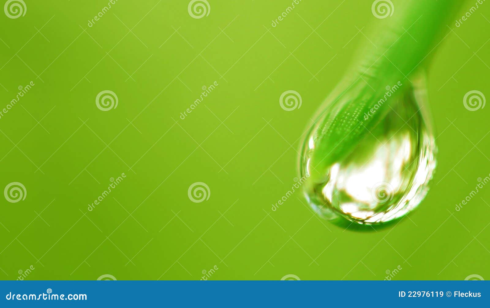 Gota - fundo verde imagem de stock. Imagem de ecologia - 22976119