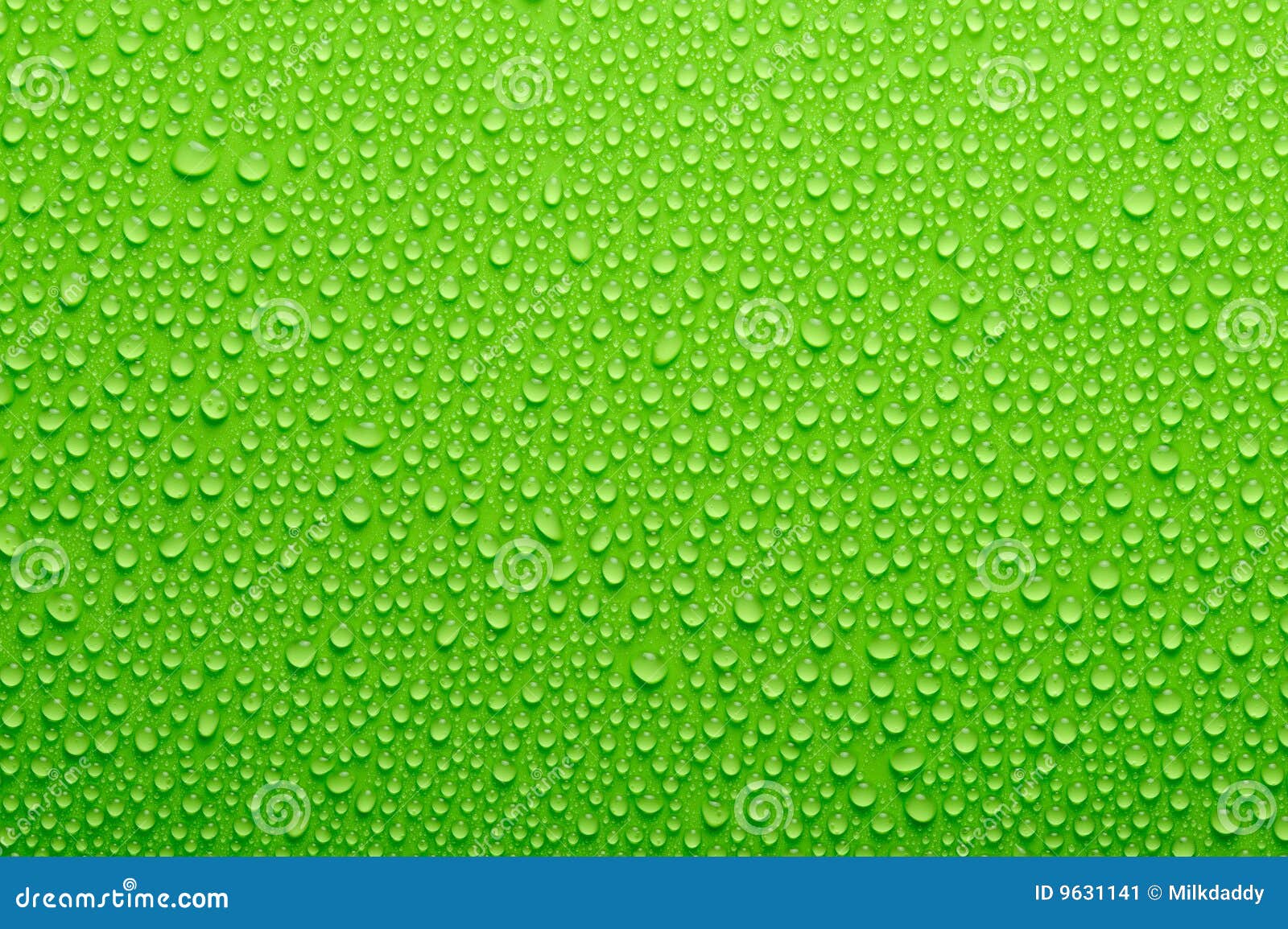 Gotas da água no verde imagem de stock. Imagem de raindrops - 9631141