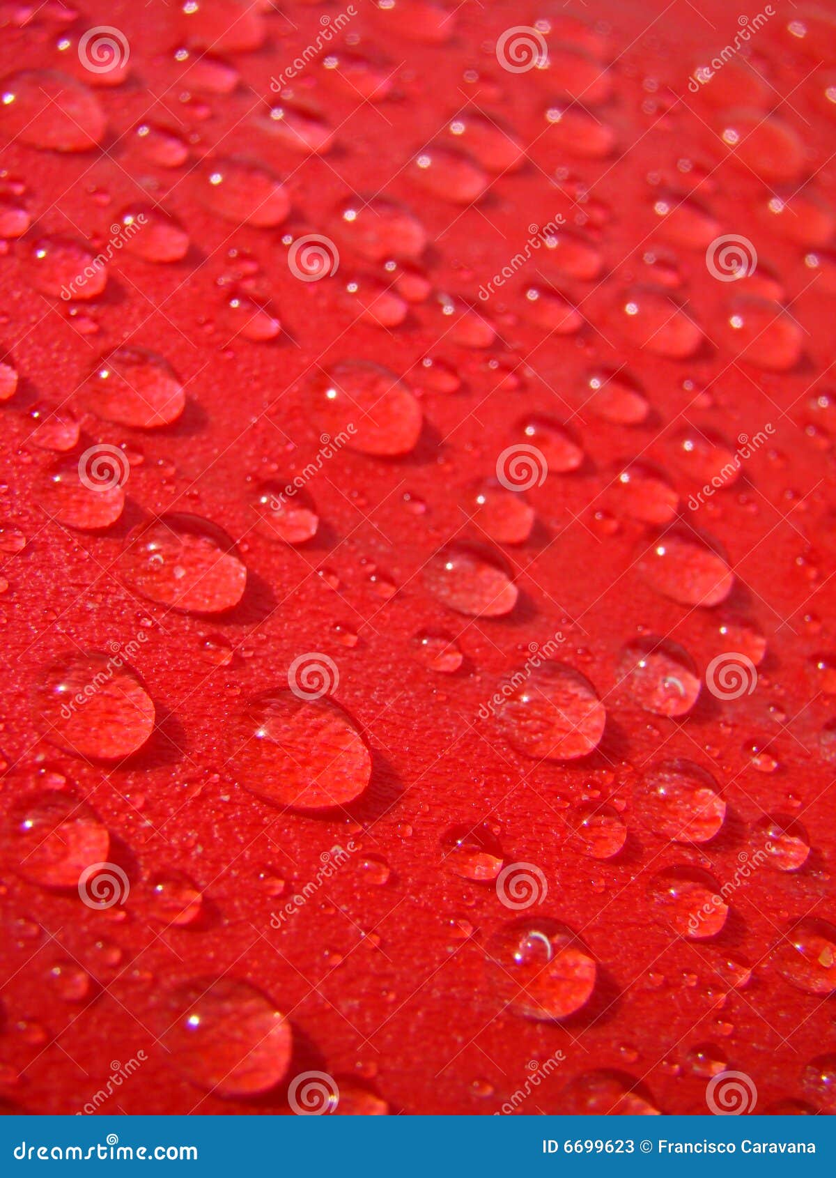 Gotas rojas del agua imagen de archivo. Imagen de mojado - 6699623