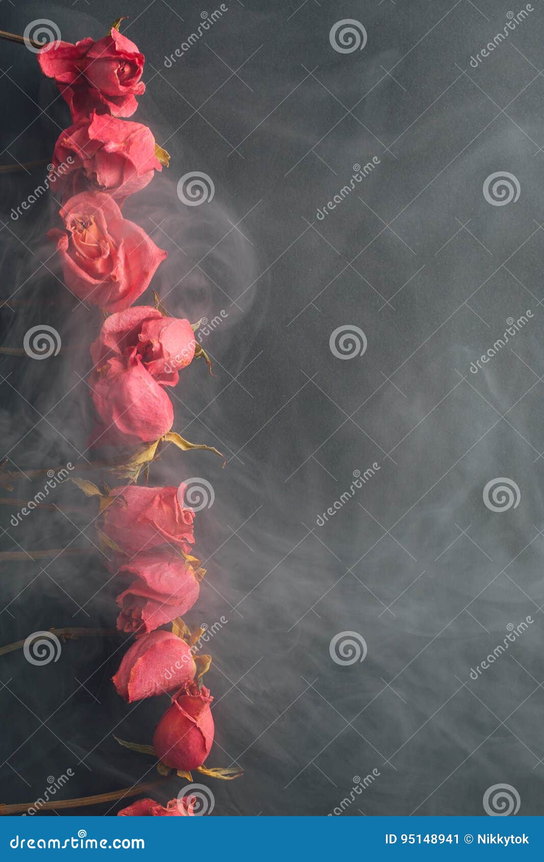 Roses, Black Roses, Red Roses, Rotten Roses, Aesthetic Roses, Expensive ...