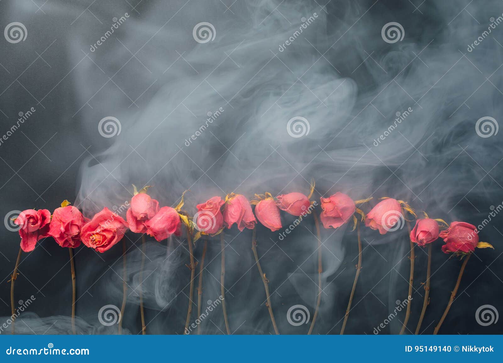 Red Roses On A Black Background Stock Image | CartoonDealer.com #140379853
