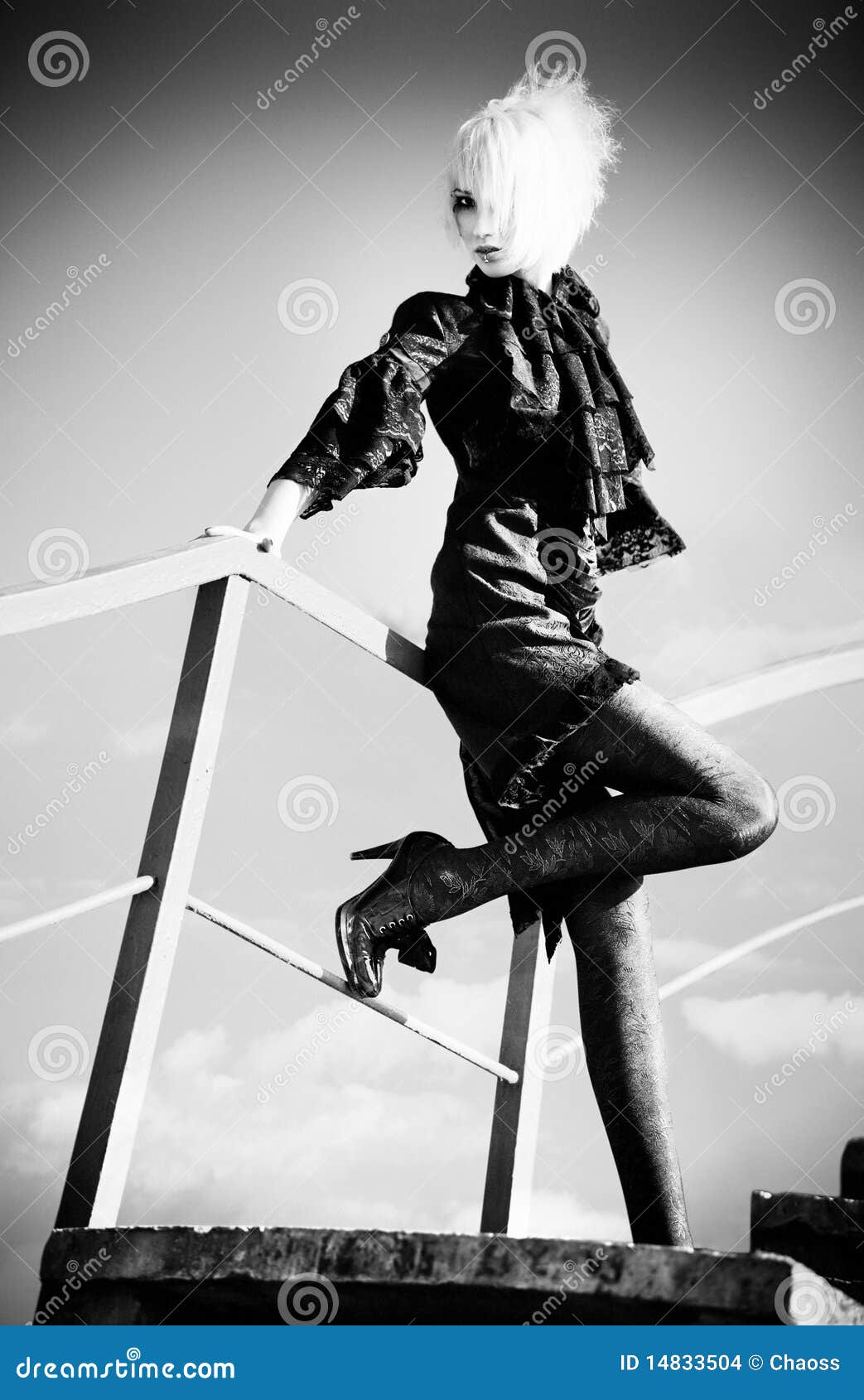 Goth woman stock photo. Image of pose, fashion, standing - 14833504