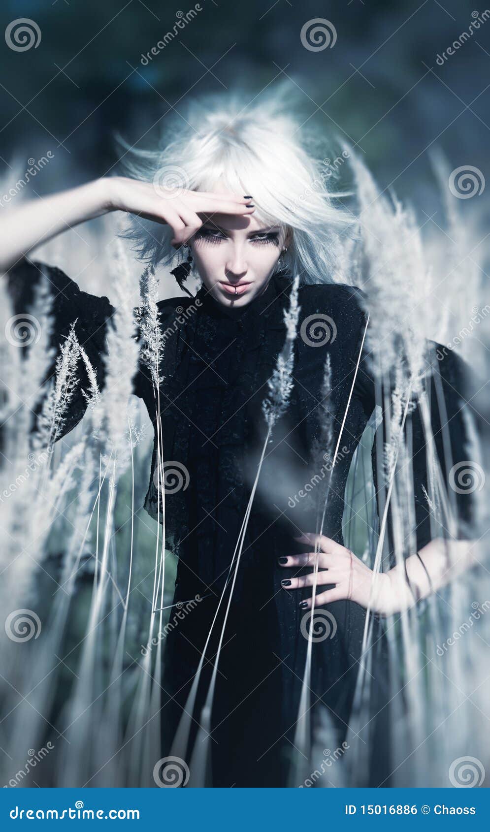 Goth Woman Outdoors Portrait Stock Photo - Image of beautiful ...
