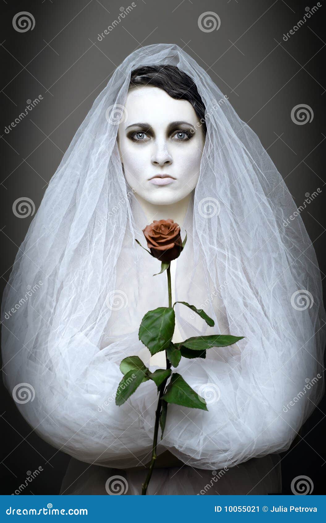 Gothic bride. stock image. Image of fantasy, people, beauty - 10055021