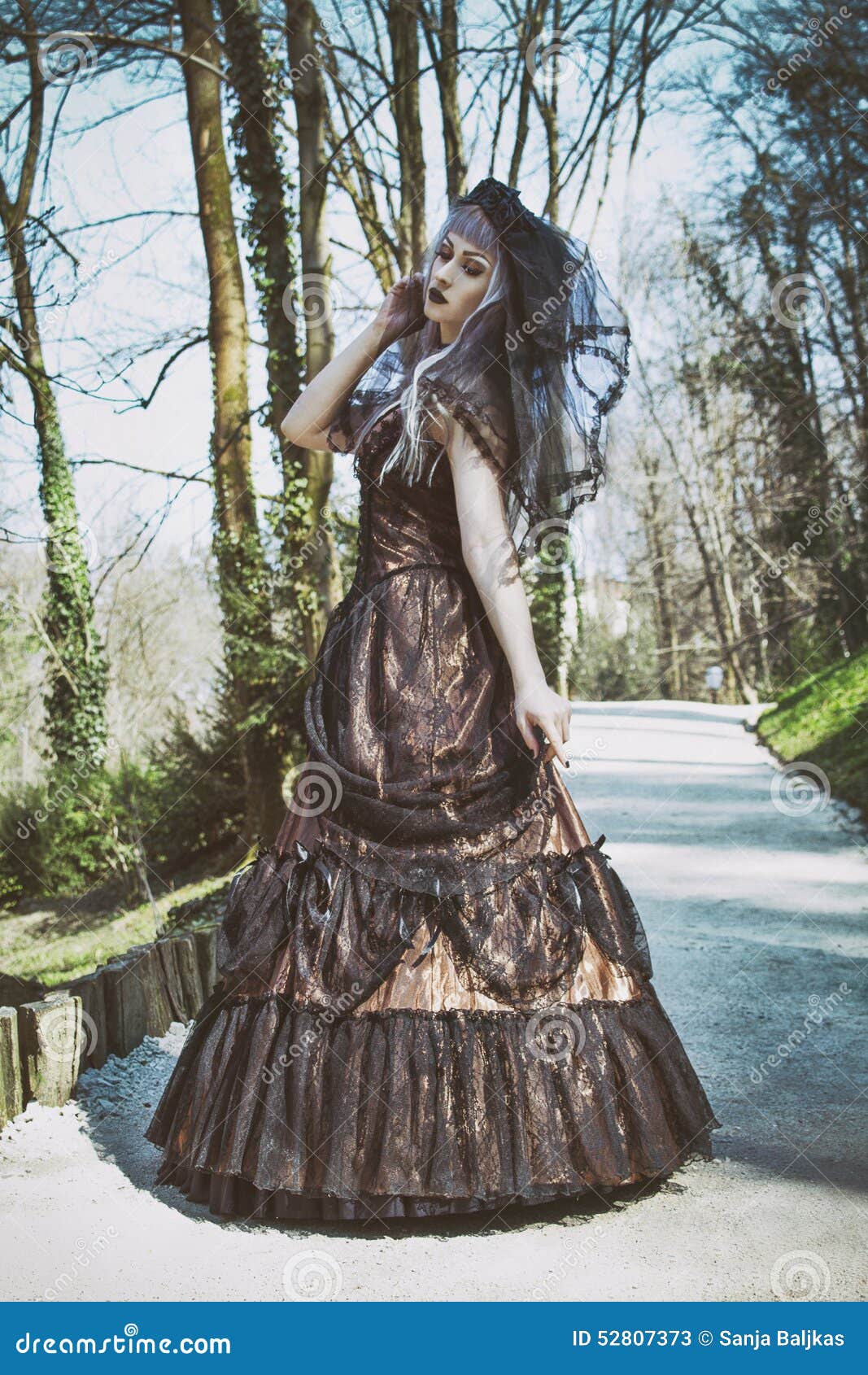 Gothic bride with veil stock image. Image of hair, fooling - 52807373