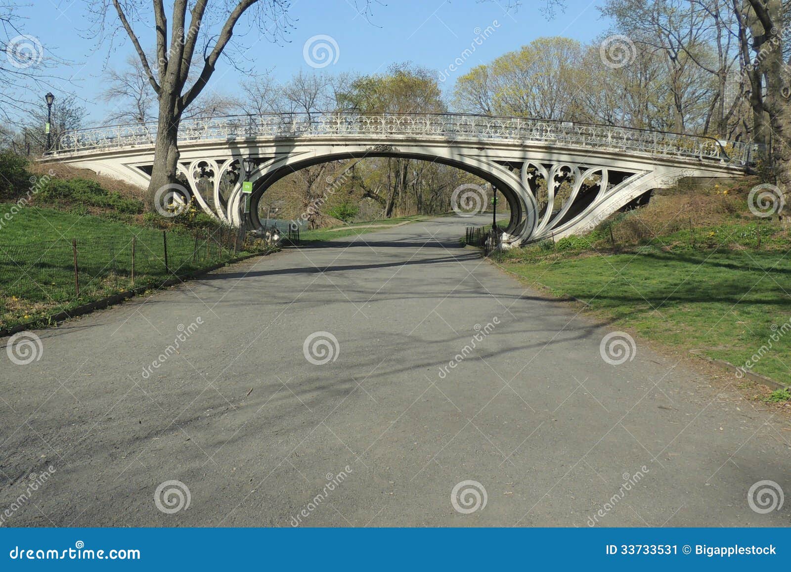 Gothic Bridge in New York City Stock Image - Image of white, city: 33733531
