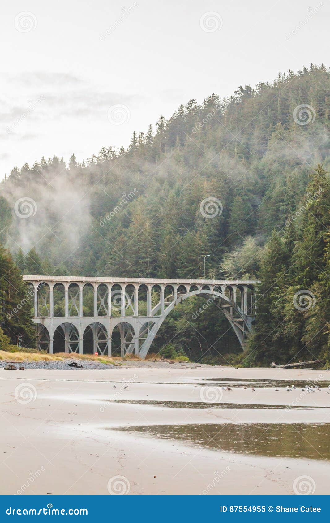 Gothic Bridge on the Pacific Coast Stock Image - Image of outdoors ...