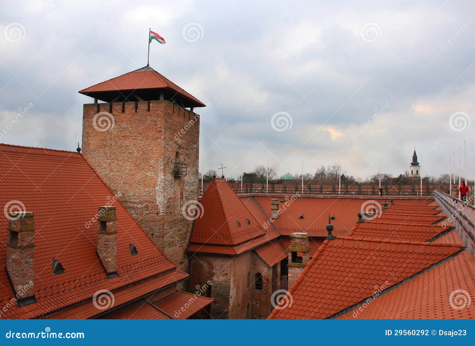 Gothic Castle of Gyula - Roof View Stock Photo - Image of masterpiece ...