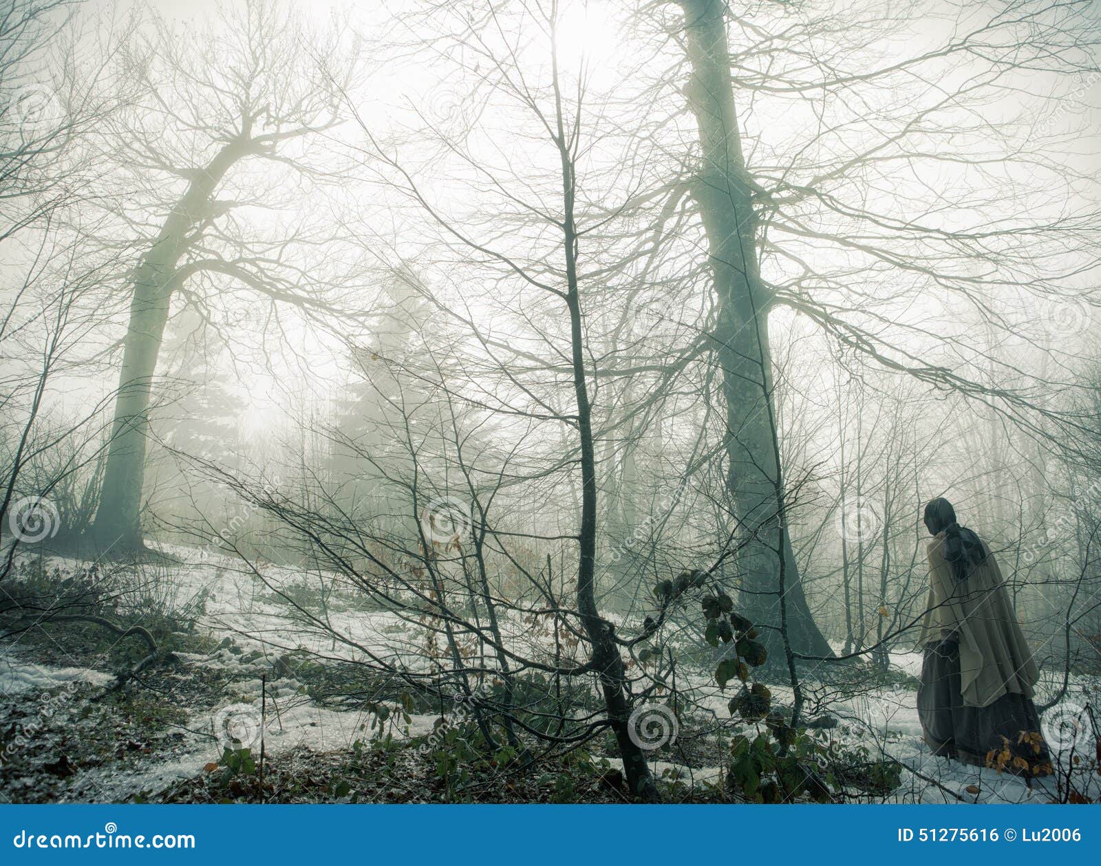 Gothic Forest stock photo. Image of fashioned, foggy - 51275616