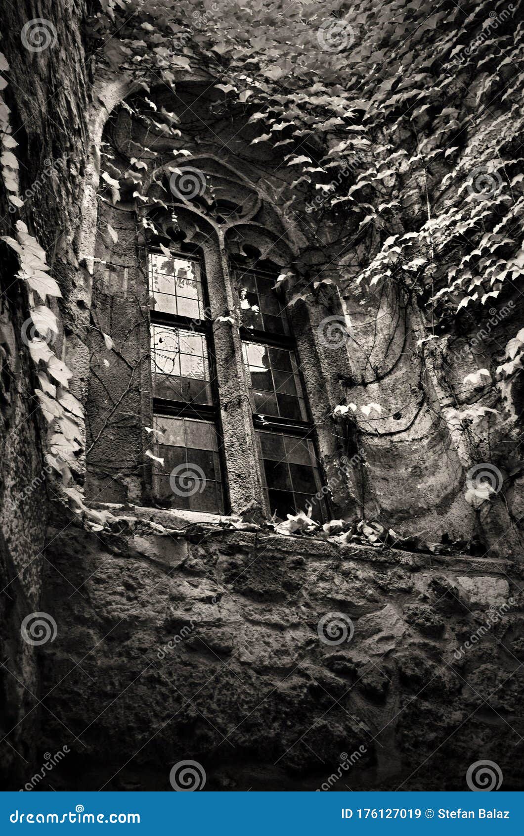 Gothic Horror Structure Royalty-Free Stock Image | CartoonDealer.com ...