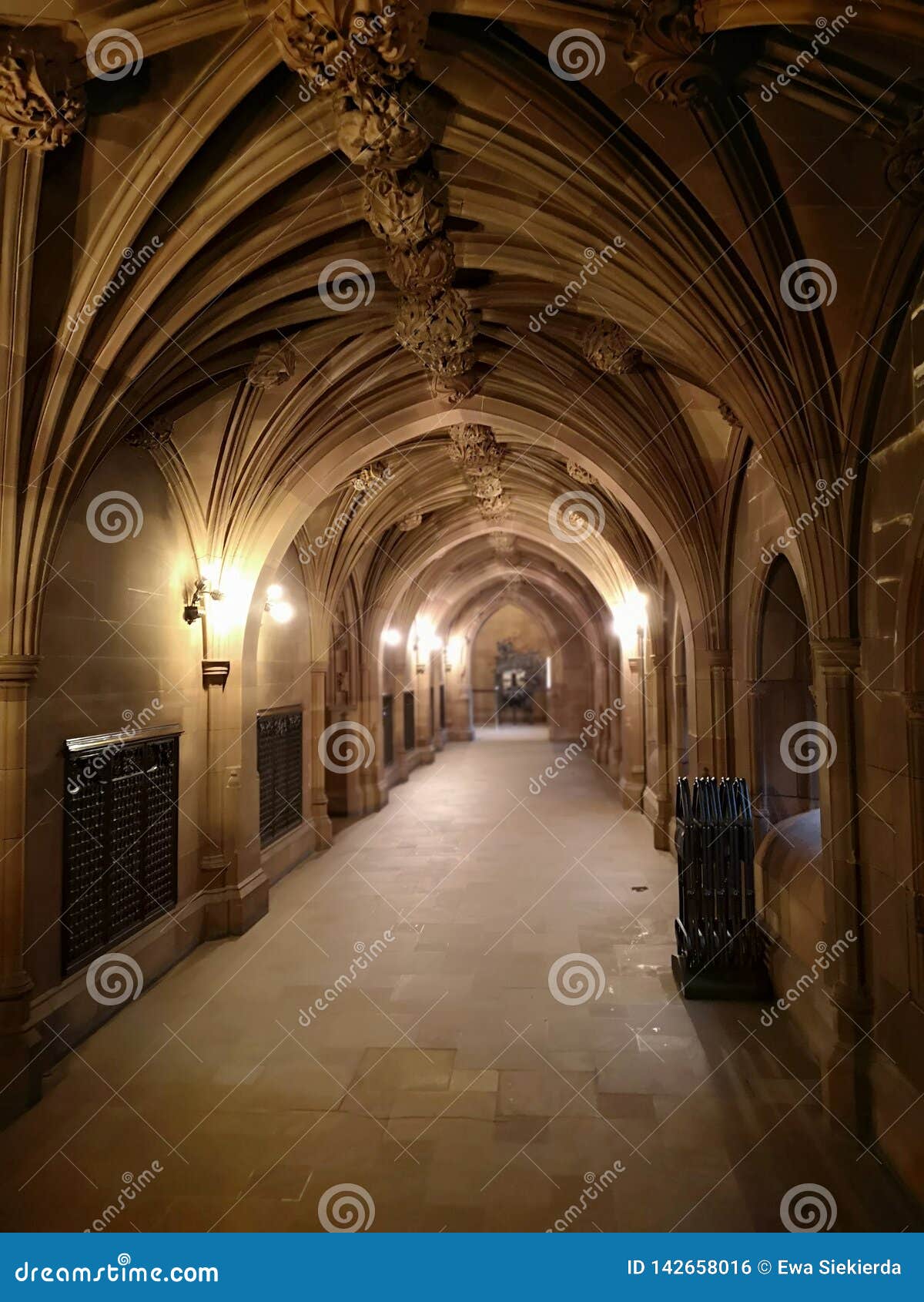 Gothic library stock photo. Image of building, inside - 142658016