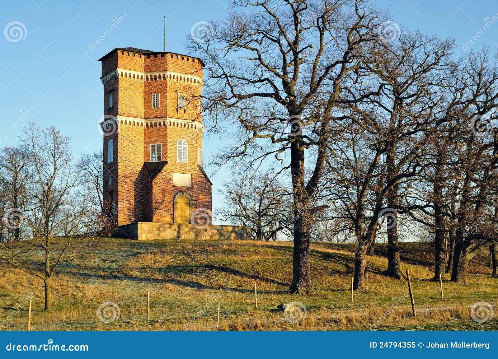 Gothic Tower stock image. Image of famous, formal, exterior - 24794355